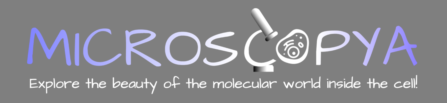 Microscopya – Beata Science Art