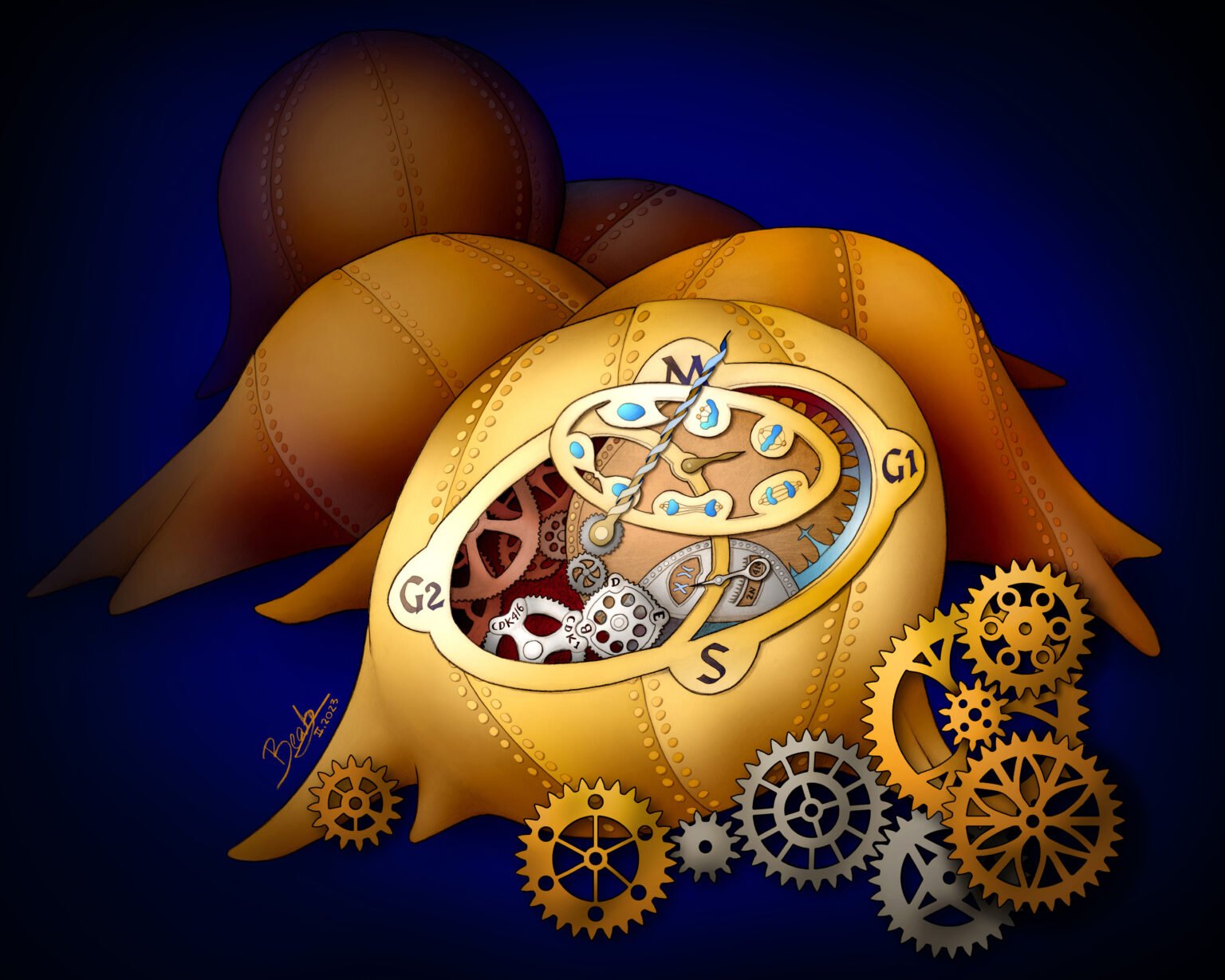 A Poster Design for the Salk Cell Cycle Meeting – Beata Science Art